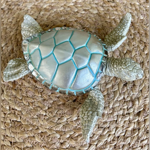 Nauti | Storage & Organization | Nwtnauti Sea Turtle Brilliant Silver ...